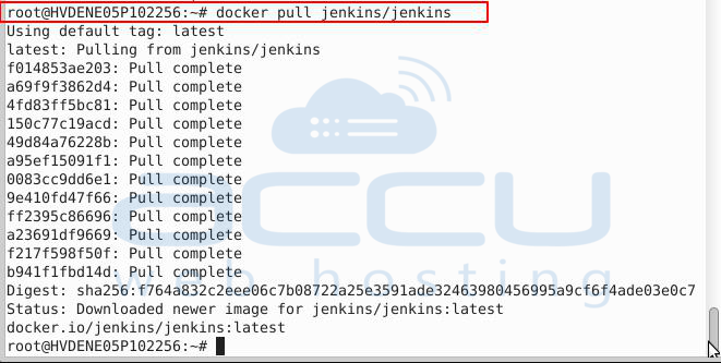 What are the steps for installing Jenkins on Linux using Docker ...