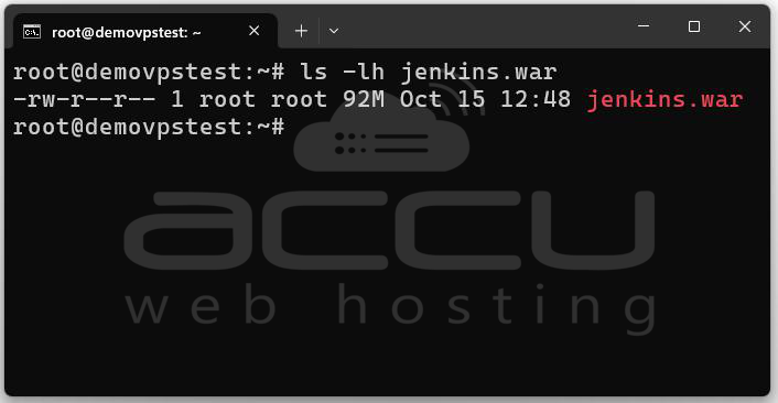 What Are The Steps To Install Jenkins On Linux Using A War File ...