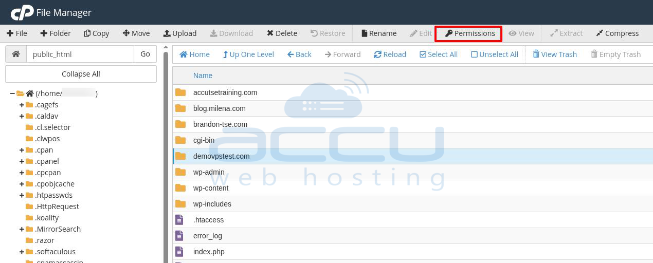 How Do I Fix ‘403 Forbidden Error’ in cPanel? - AccuWebHosting