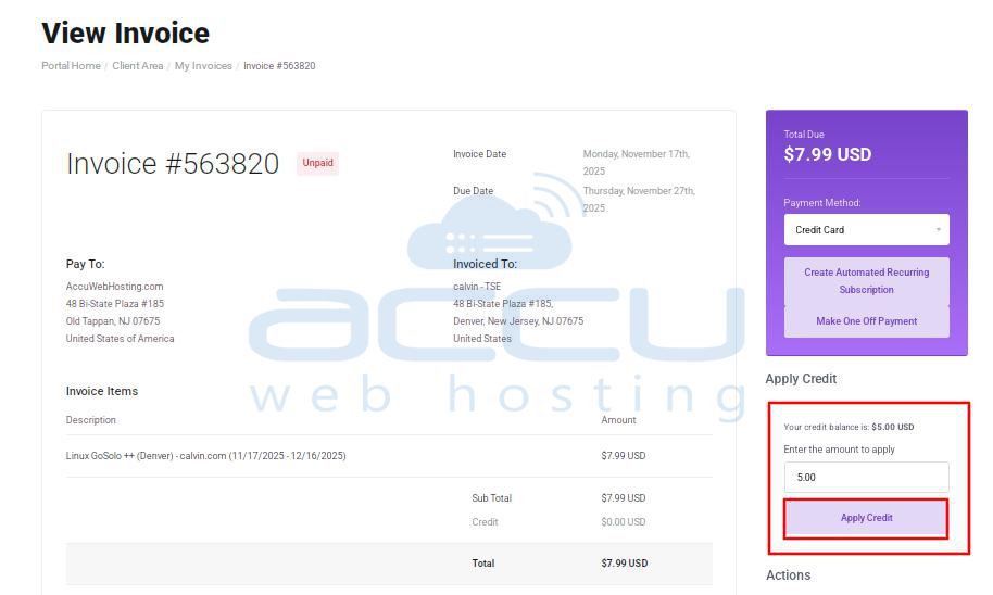 How to pay an invoice using credit balance? - AccuWebHosting