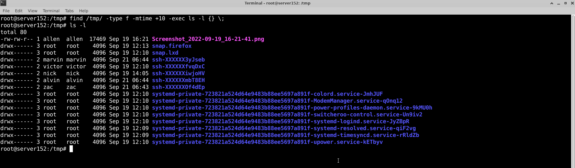 Top 10 Linux Find Commands With Exec Knowledgebase Accuwebhosting