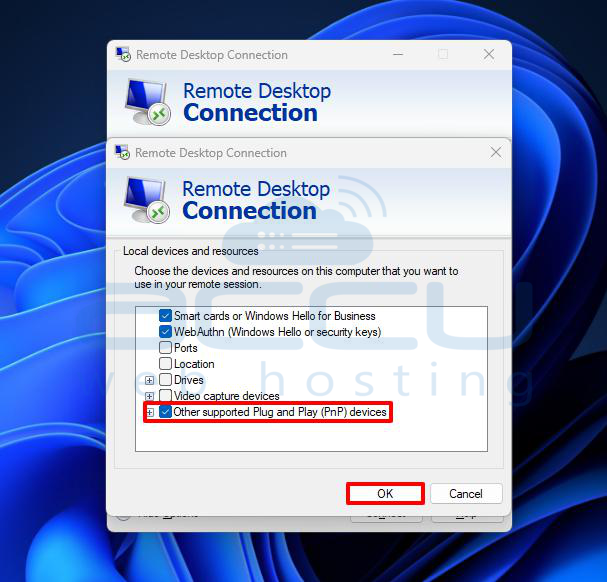 How To Access Local Webcam In Rdp Session Knowledgebase Accuwebhosting