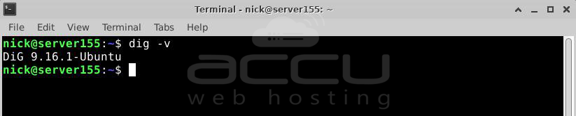 Dig Command: What is it? How do I use it? - AccuWebHosting