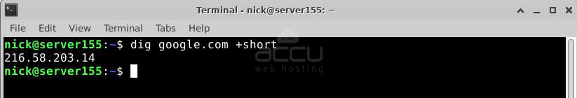 Dig Command: What is it? How do I use it? - AccuWebHosting