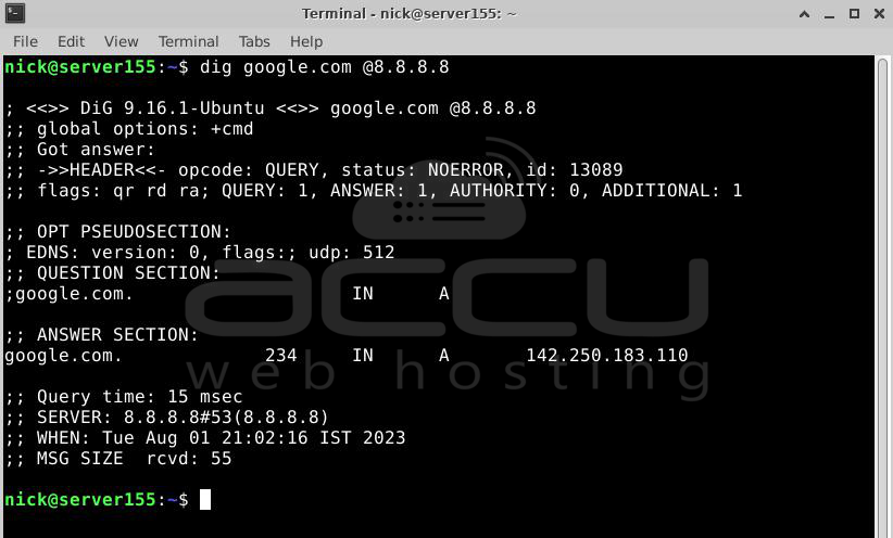 Dig Command: What is it? How do I use it? - AccuWebHosting