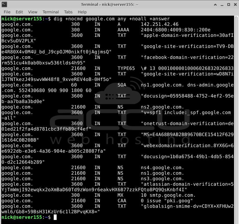 Dig Command: What is it? How do I use it? - AccuWebHosting