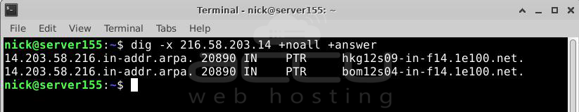 Dig Command: What is it? How do I use it? - AccuWebHosting