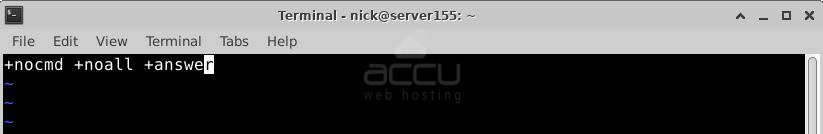 Dig Command: What is it? How do I use it? - AccuWebHosting