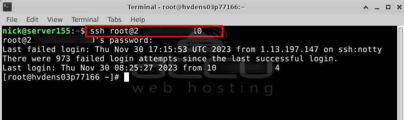 How to check the Version of your cPanel? - AccuWebHosting