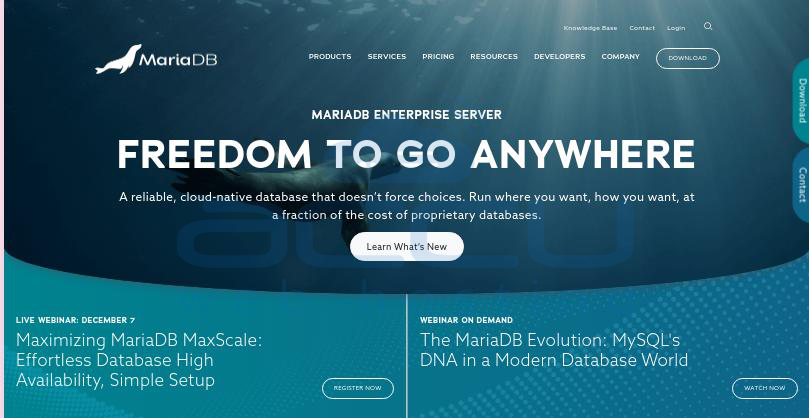 What Are The Key Differences Between Mariadb And Mysql Database Server Accuweb Help Center