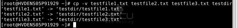What Is Cp Command And What Is The Use Of It Linux Commands Accuweb Help Center