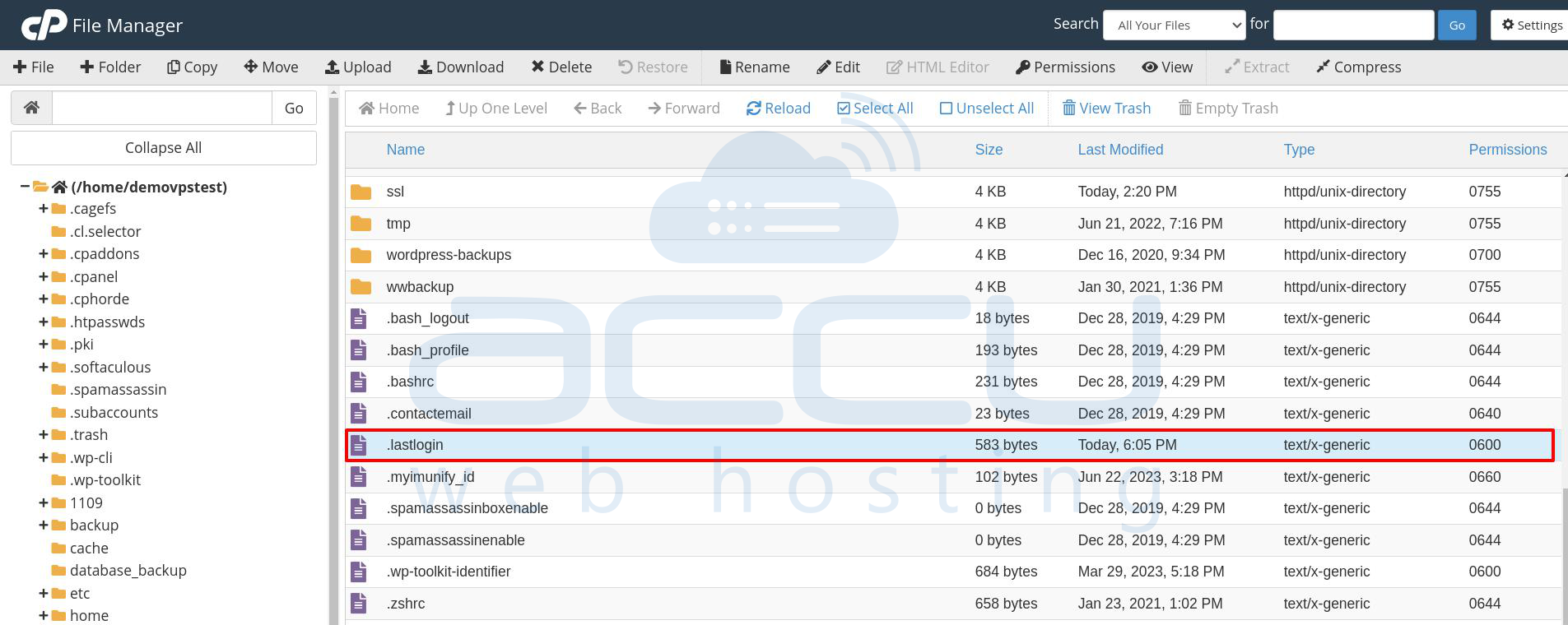 How Do You Check cPanel Login History and Identify Who Logged into cPanel? - AccuWebHosting