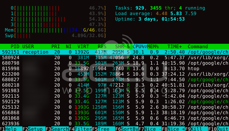 vCPU vs Cores vs Threads: Spotting the Differences in a VPS - AccuWebHosting