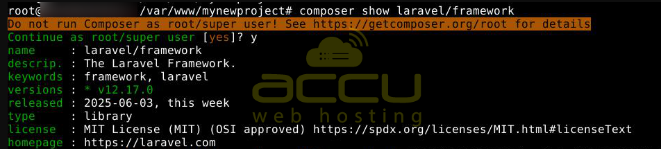 3 Easy Ways to Check Your Laravel Version - AccuWebHosting