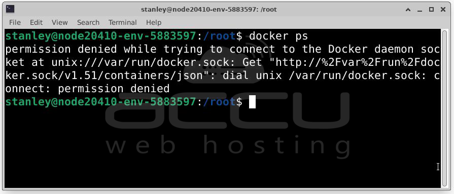 What steps can you take to resolve a permission denied error in Docker? - AccuWebHosting