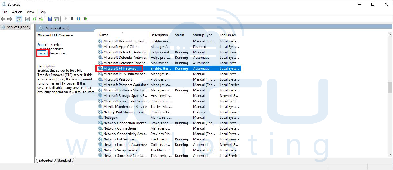 FTP Error: 530 User cannot log in, home directory inaccessible - AccuWebHosting